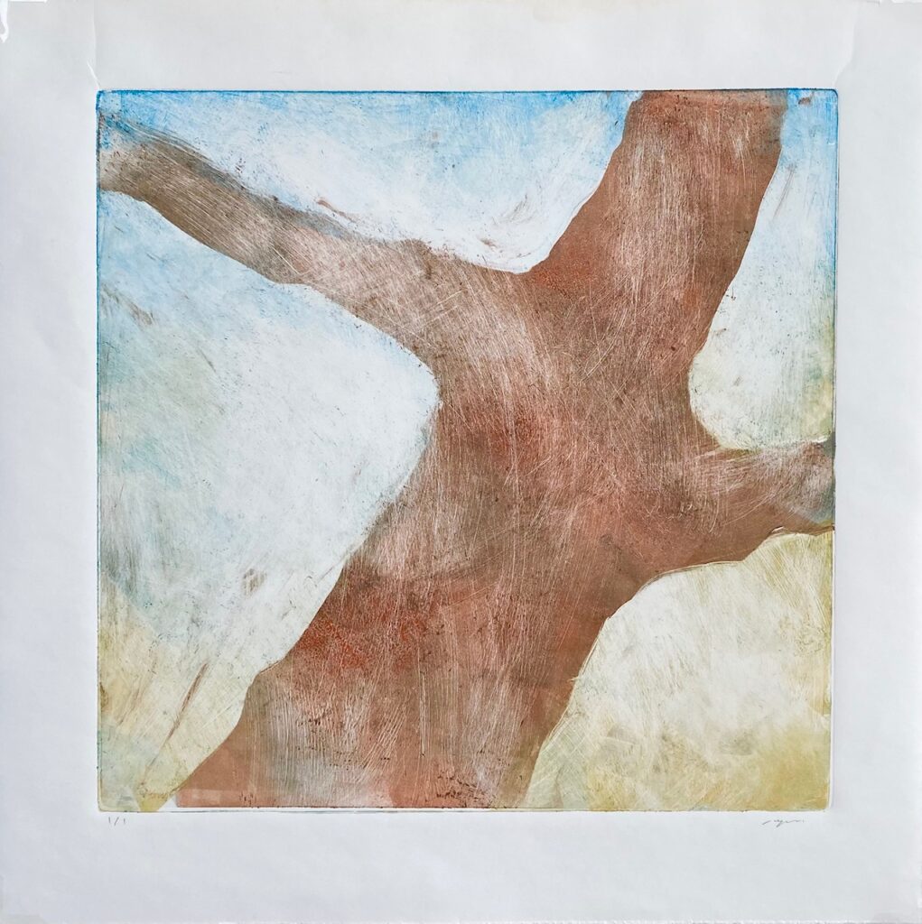 Royce Deans | Hudson Gallery